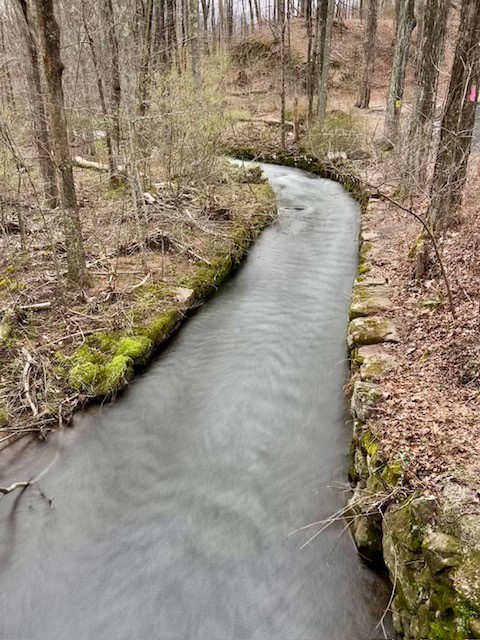 Exploring Tyler Mill Preserve, May 2024 – Subscribe to Trail Talk