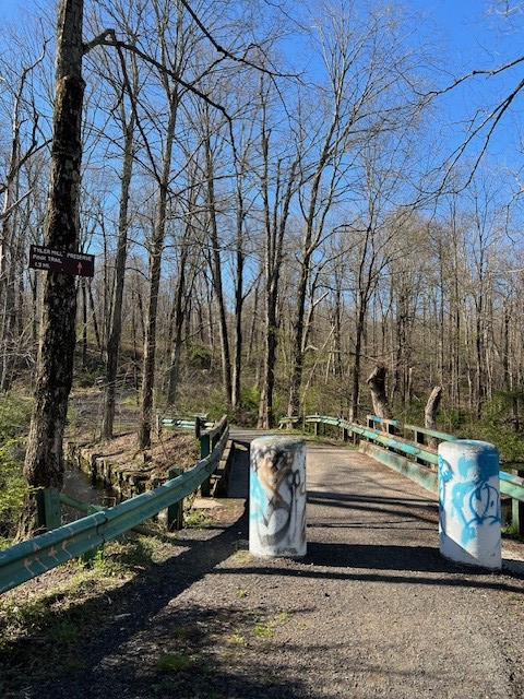 Exploring Tyler Mill Preserve, May 2024 – Subscribe to Trail Talk
