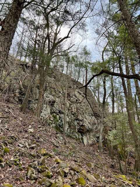 Exploring Tyler Mill Preserve, May 2024 – Subscribe to Trail Talk